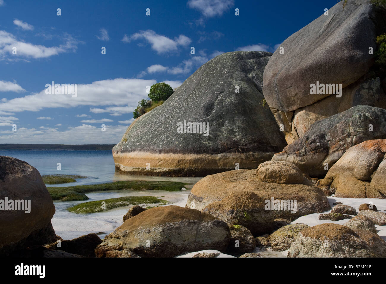 Two peoples bay nature reserve hi-res stock photography and images - Alamy