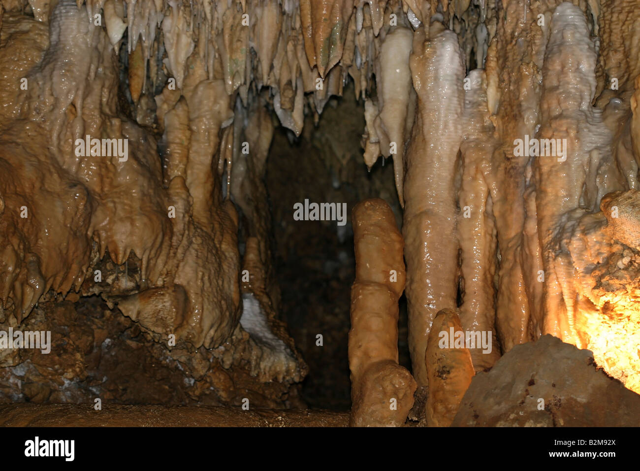 Harrison's Cave, Barbados Stock Photo - Alamy