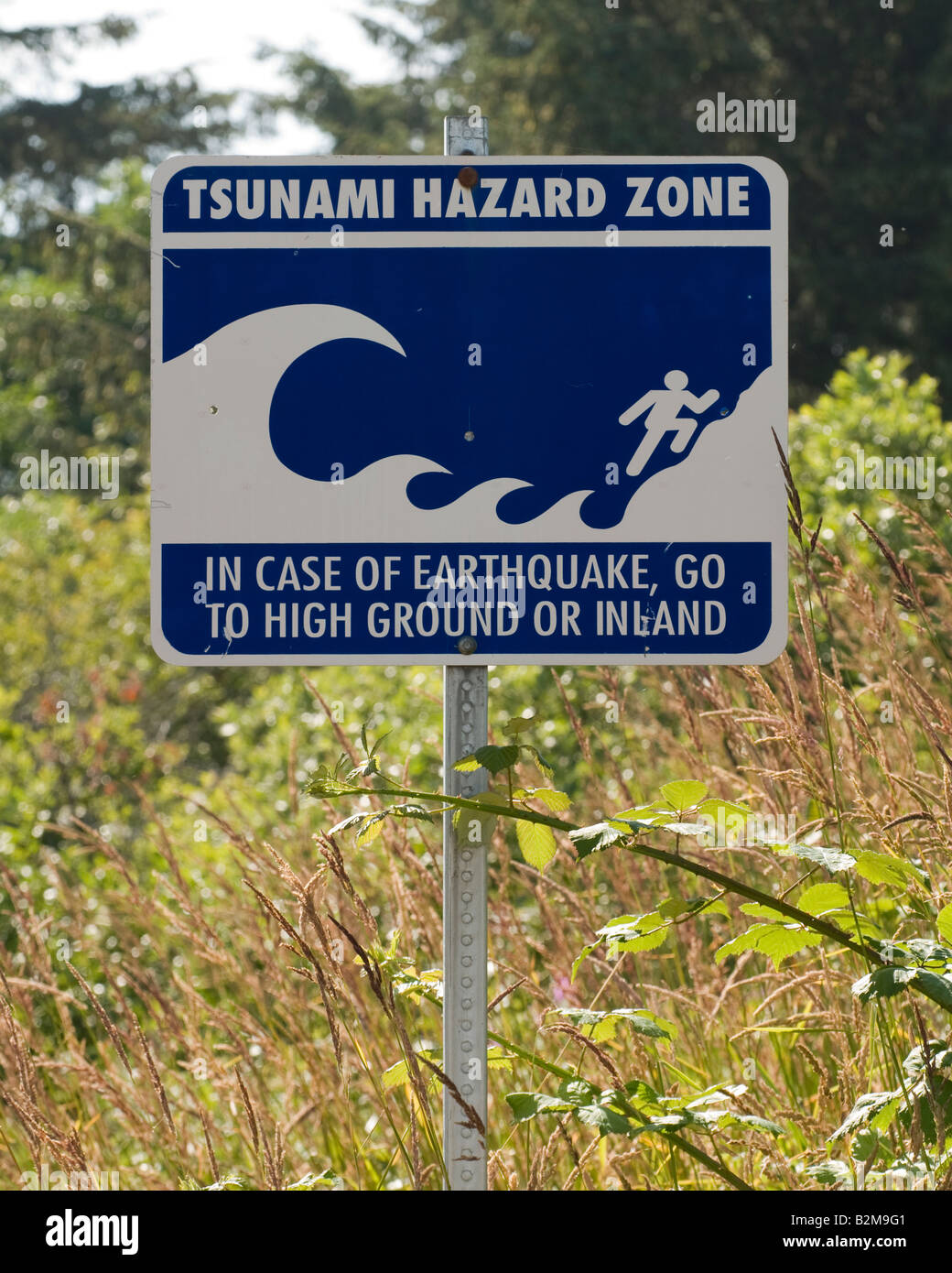 A Tsunami sign off of the side of the road Stock Photo - Alamy