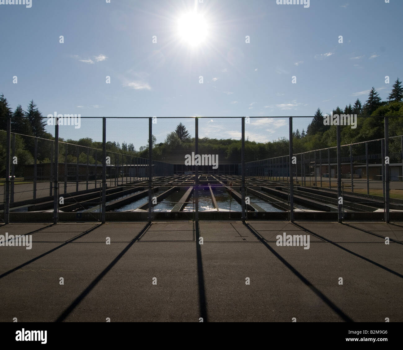 Breeding in ponds hi-res stock photography and images - Alamy