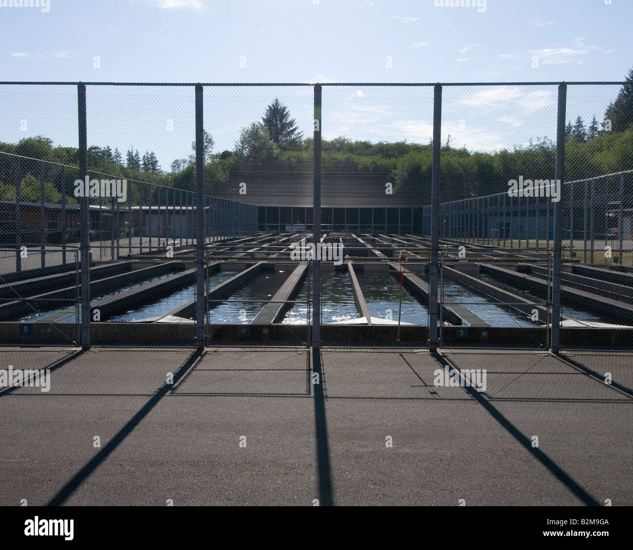 Breeding in ponds hi-res stock photography and images - Alamy