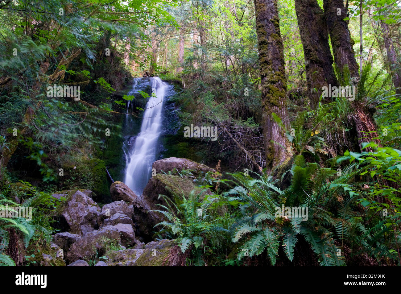 Waterfall into trees hi-res stock photography and images - Alamy