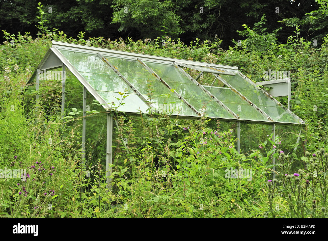 Overgrown greenhouse hi-res stock photography and images - Alamy
