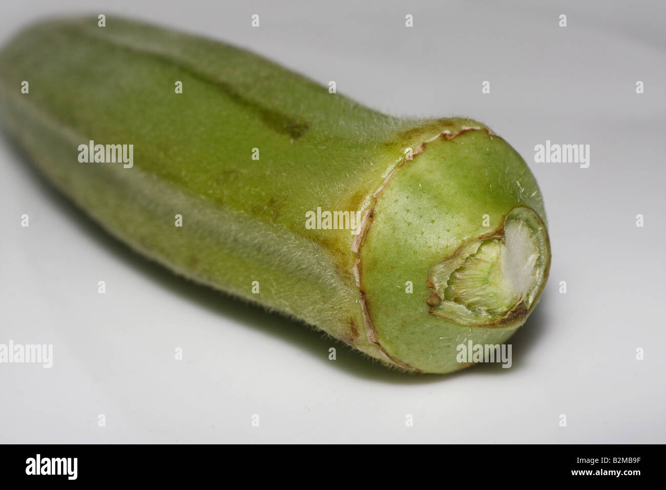 Okra fruit hi-res stock photography and images - Alamy