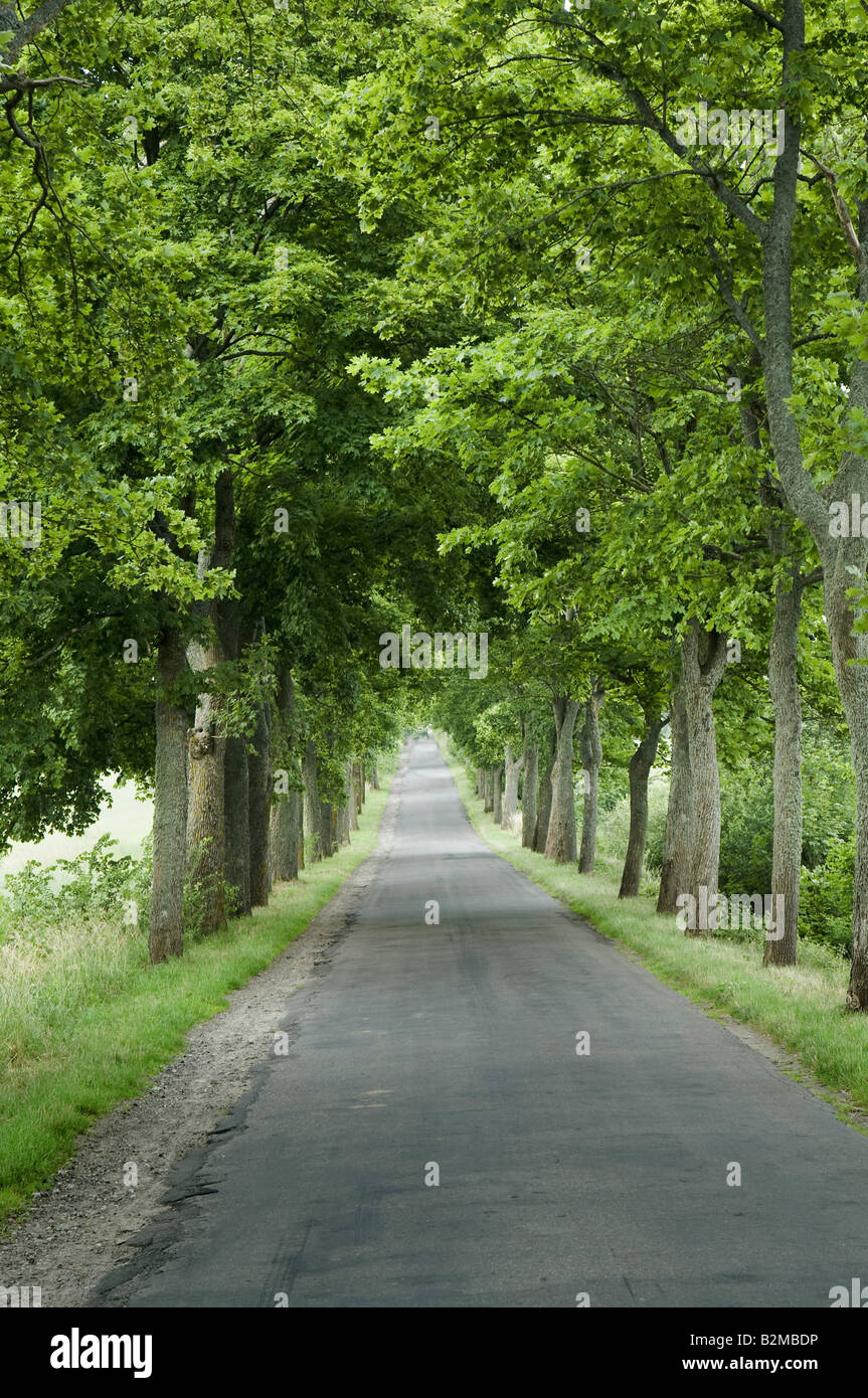 Alley line hi-res stock photography and images - Alamy