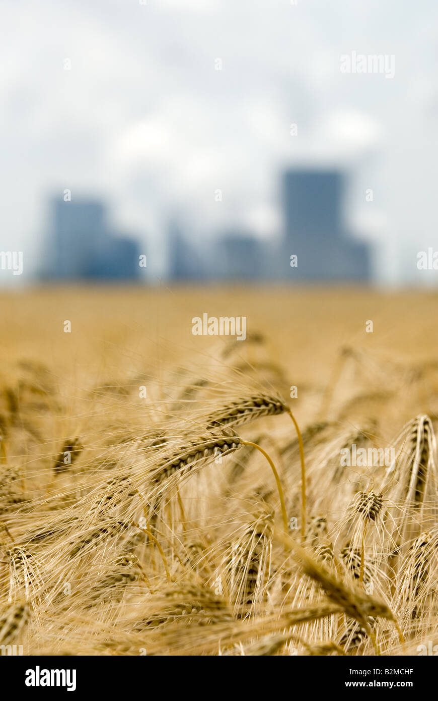 Coal crop hi-res stock photography and images - Alamy
