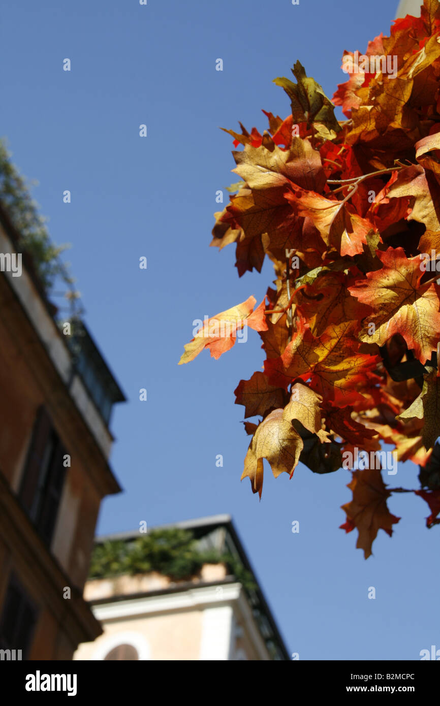 colourful plastic autumn leaves and blue sky Stock Photo - Alamy