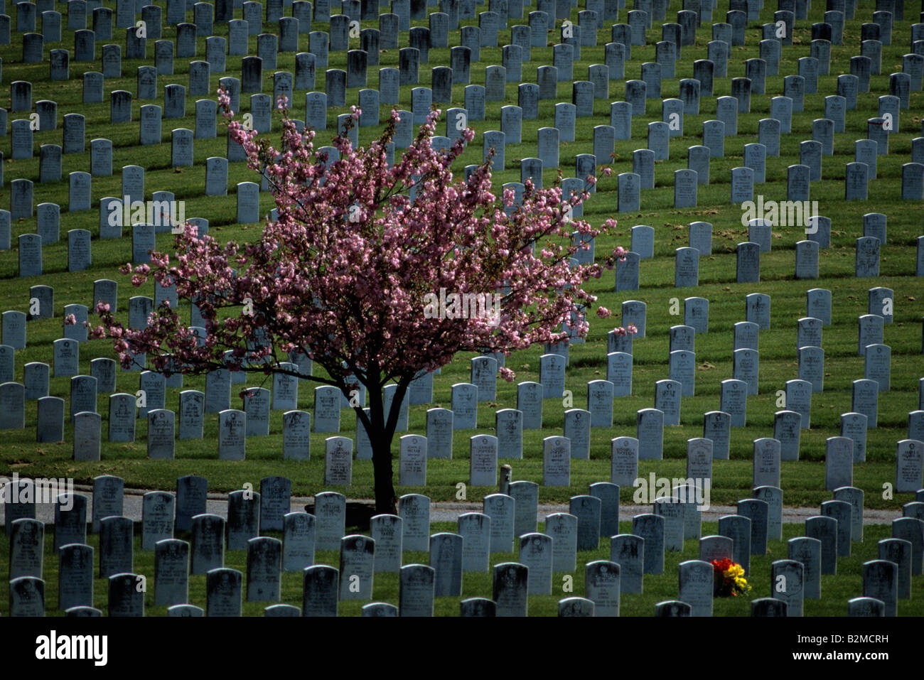 Evergreen Washelli Cemetery High Resolution Stock Photography and ...