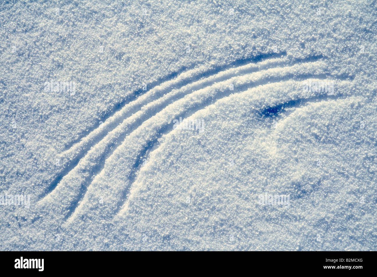 Imprint of bird hi-res stock photography and images - Alamy