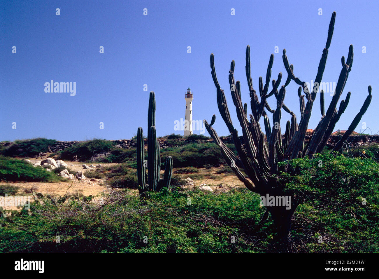 Aruba Lighthouse High Resolution Stock Photography and Images - Alamy