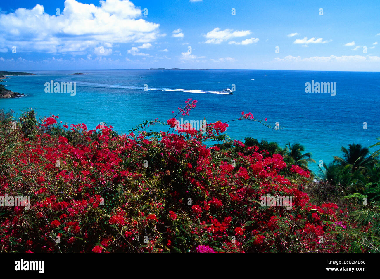 Saint thomas usa hi-res stock photography and images - Alamy