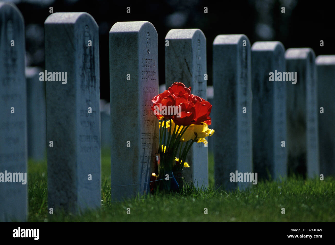 Evergreen Washelli High Resolution Stock Photography and Images - Alamy