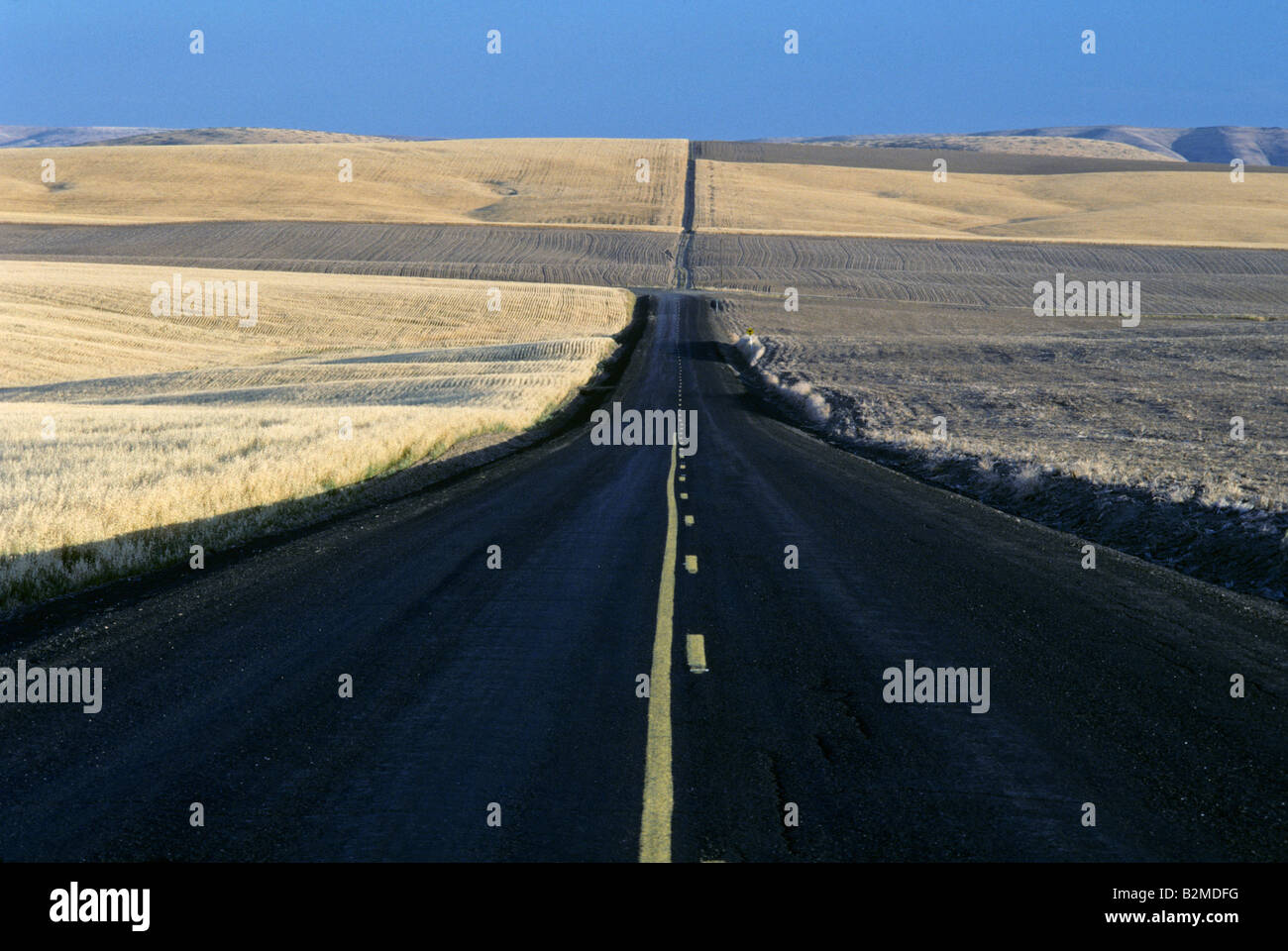 Paved road stretching into the horizon in Eastern Washington sunset ...