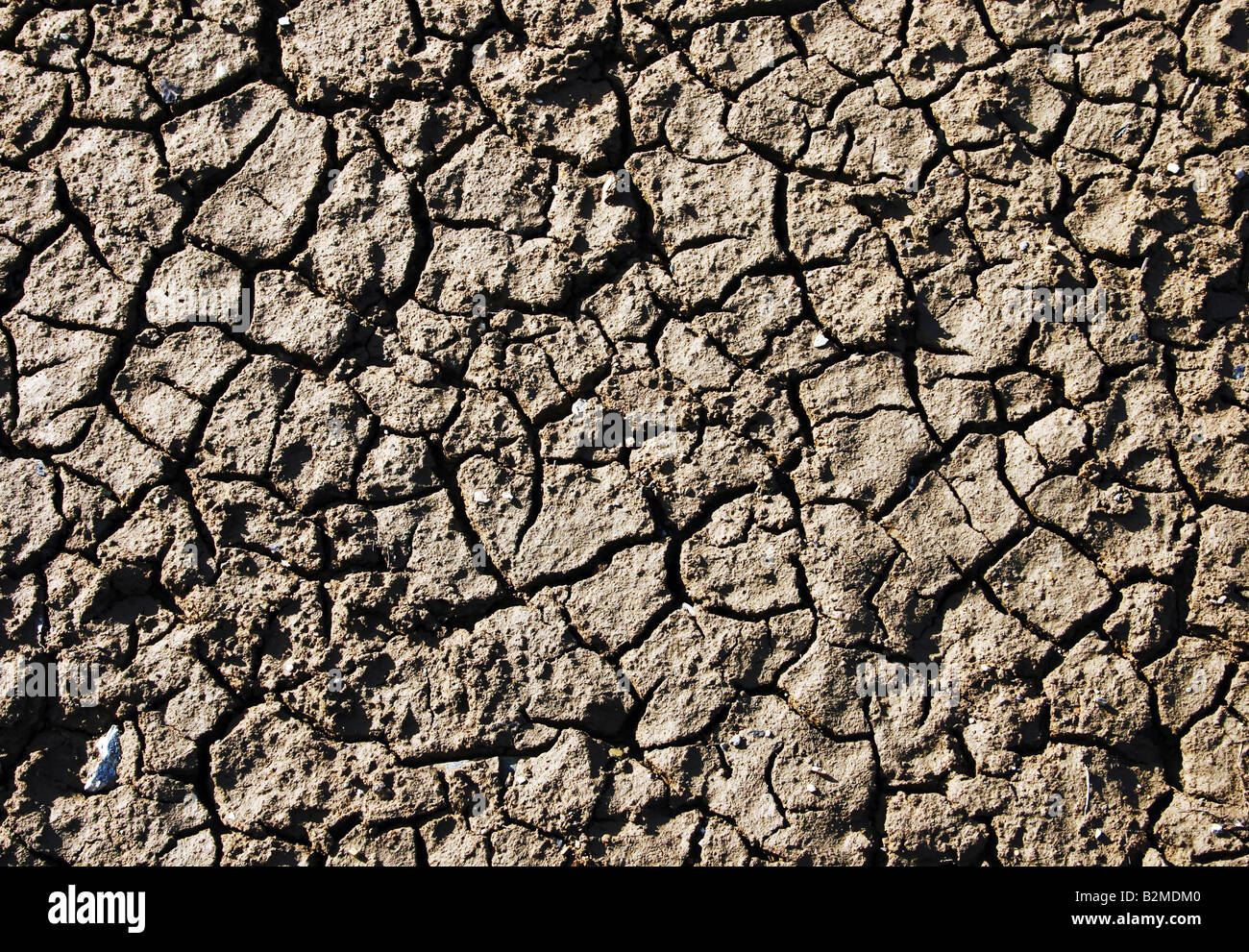 Land cracks hi-res stock photography and images - Alamy