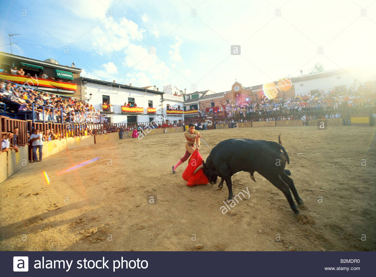 Bull Killing High Resolution Stock Photography and Images - Alamy