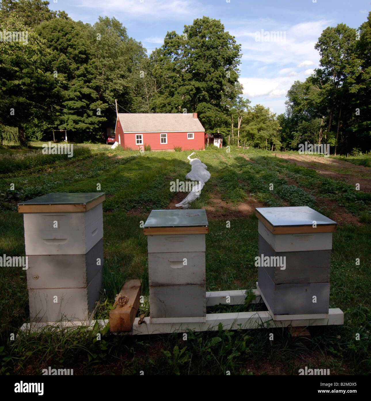 Organic Nature's Edge Farm in Canterbury CT Stock Photo - Alamy