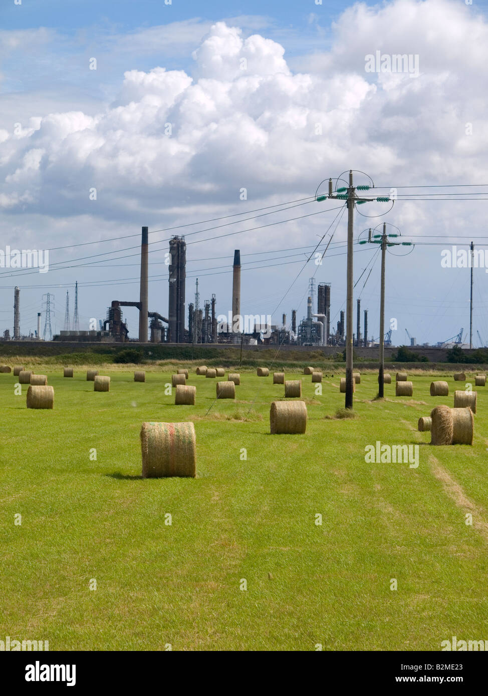 A field full of cylindrical hay bales close to an oil refinery in ...