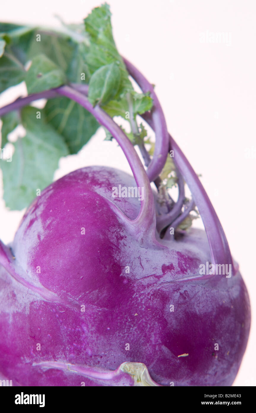 Pure and fresh vegetables white background Stock Photo - Alamy