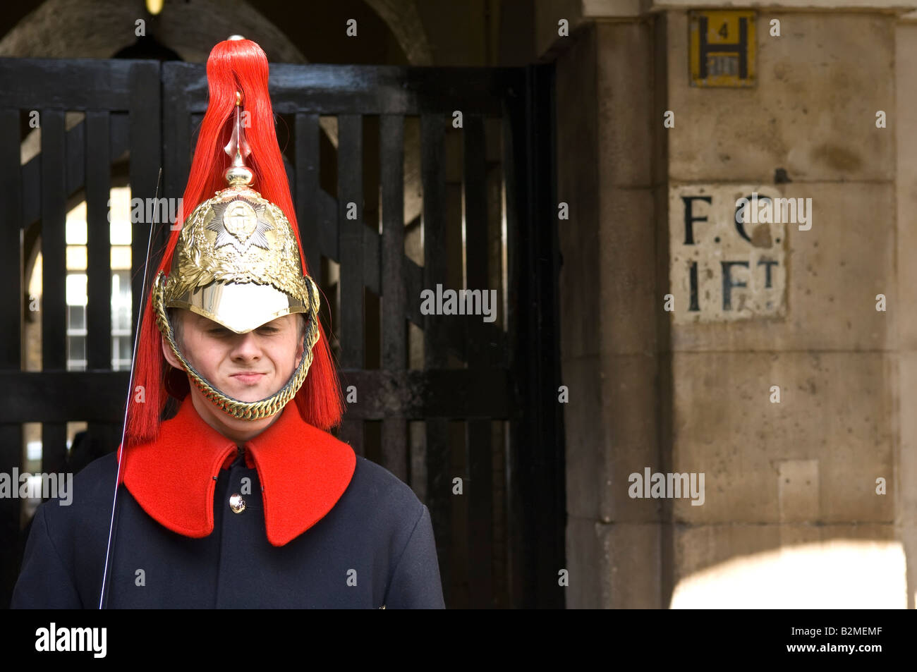 Royal guard caught smiling while keeping watch Horse guards Whitehall ...