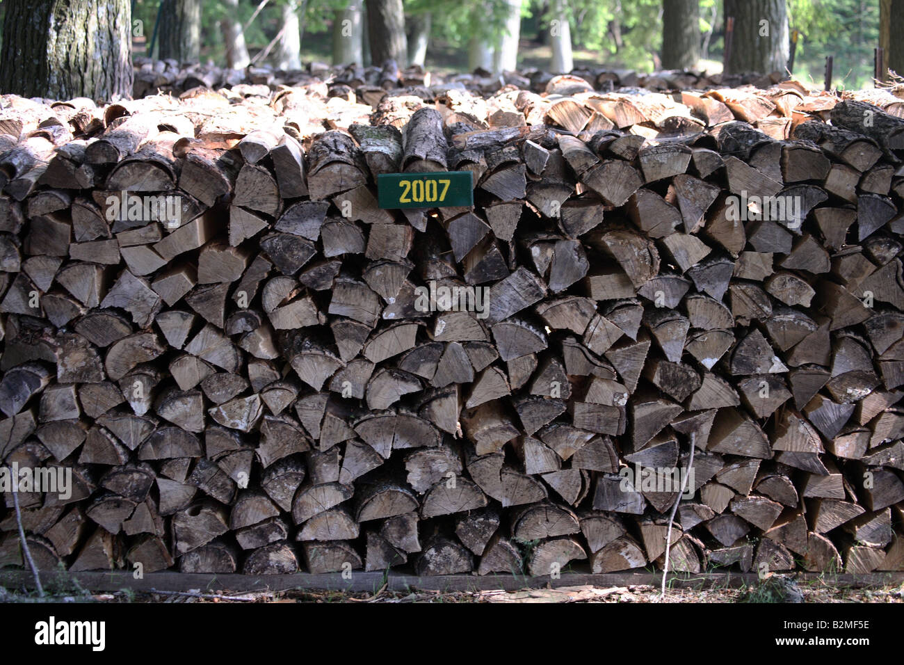 Firewood stacked for winter in the remote Northwoods of northern ...
