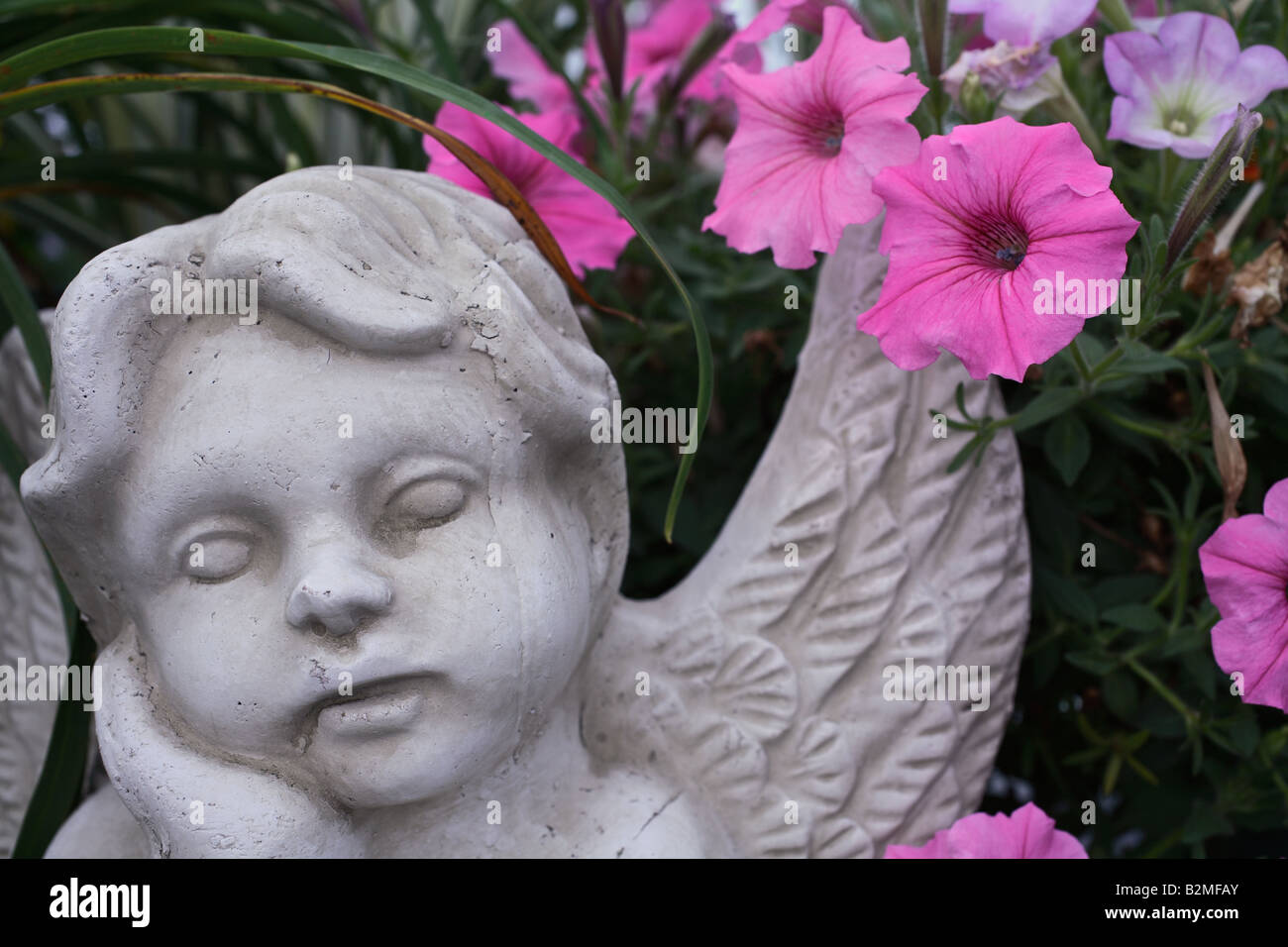 Cherub flowers hi-res stock photography and images - Alamy
