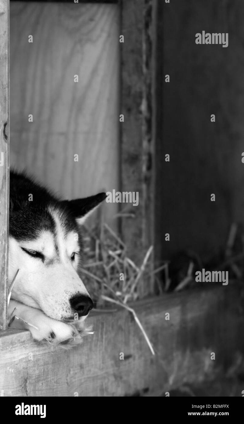 Can sleep Black and White Stock Photos & Images - Alamy