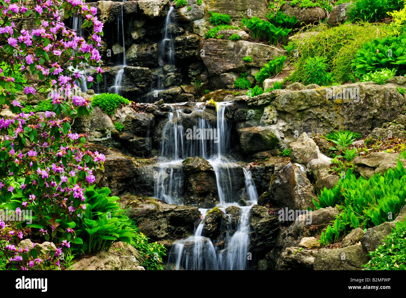 Cascading waterfall in japanese garden in springtime Stock Photo - Alamy
