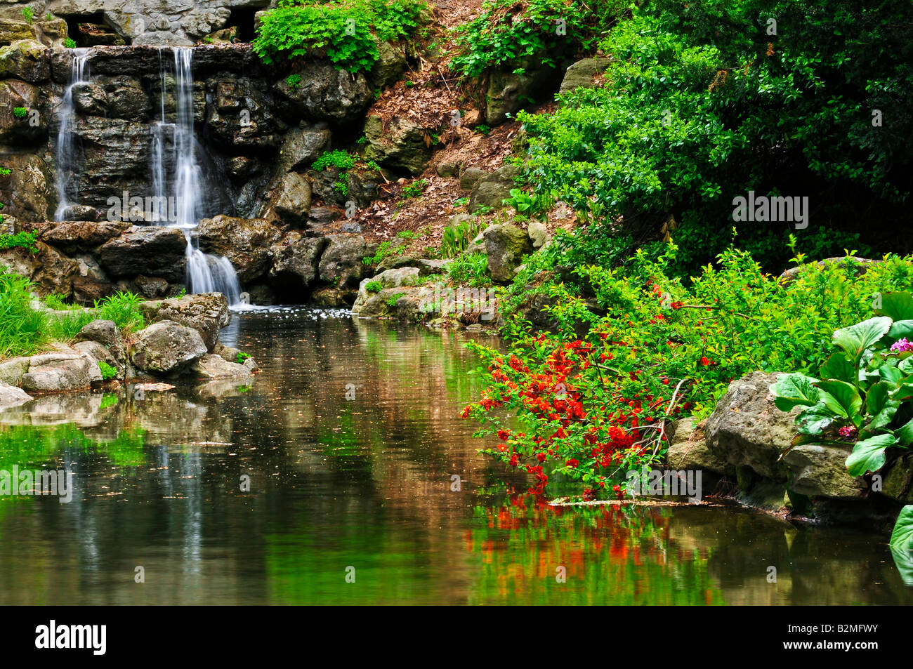 Cascading waterfall and pond in japanese garden Stock Photo - Alamy