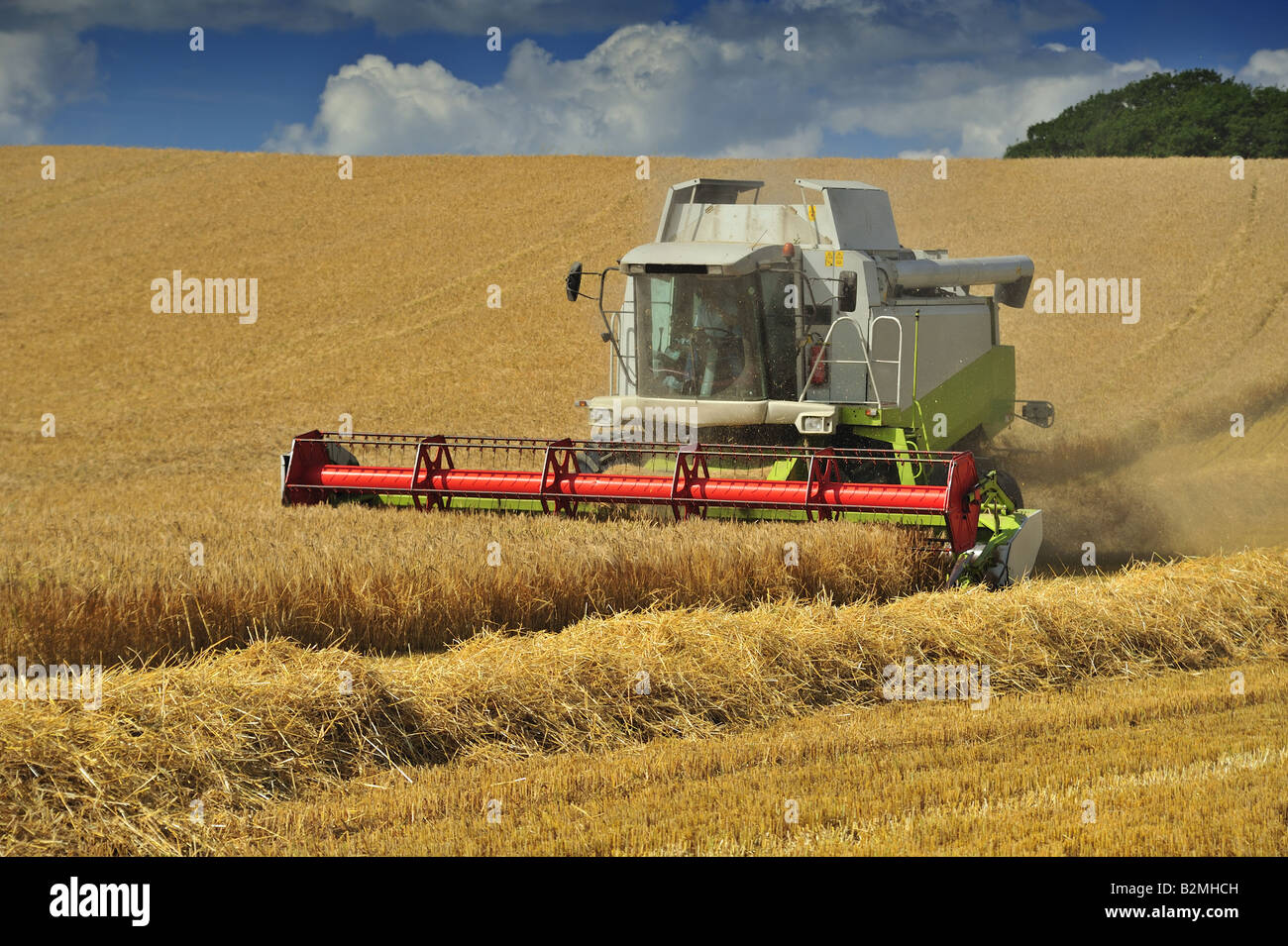 Combine harvester gather harvest hi-res stock photography and images ...