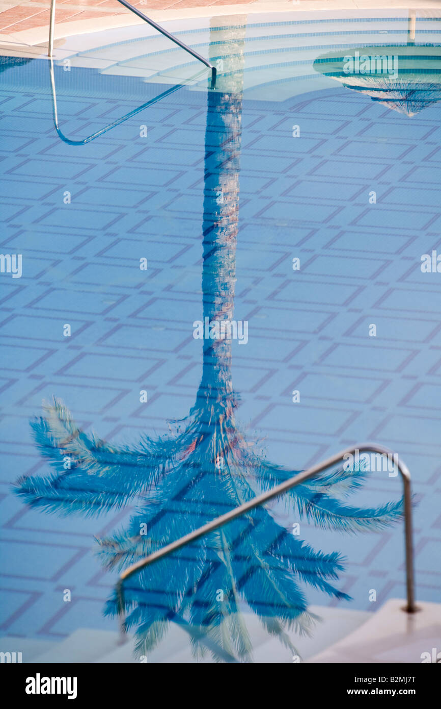 Palm reflex in a pool hi-res stock photography and images - Alamy