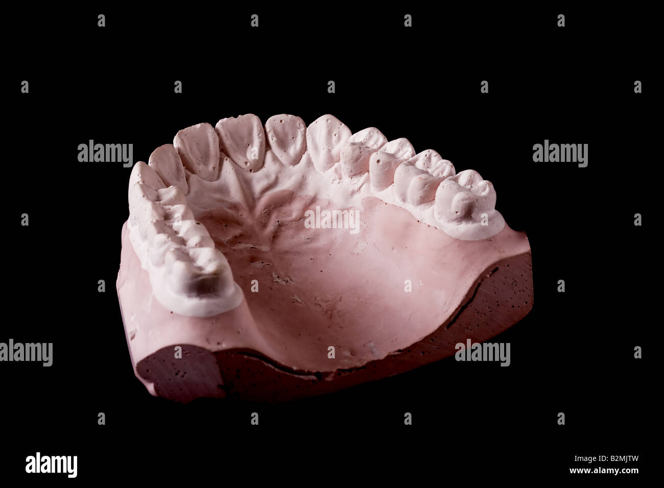 gypsum model of a human teeth on black background Stock Photo - Alamy