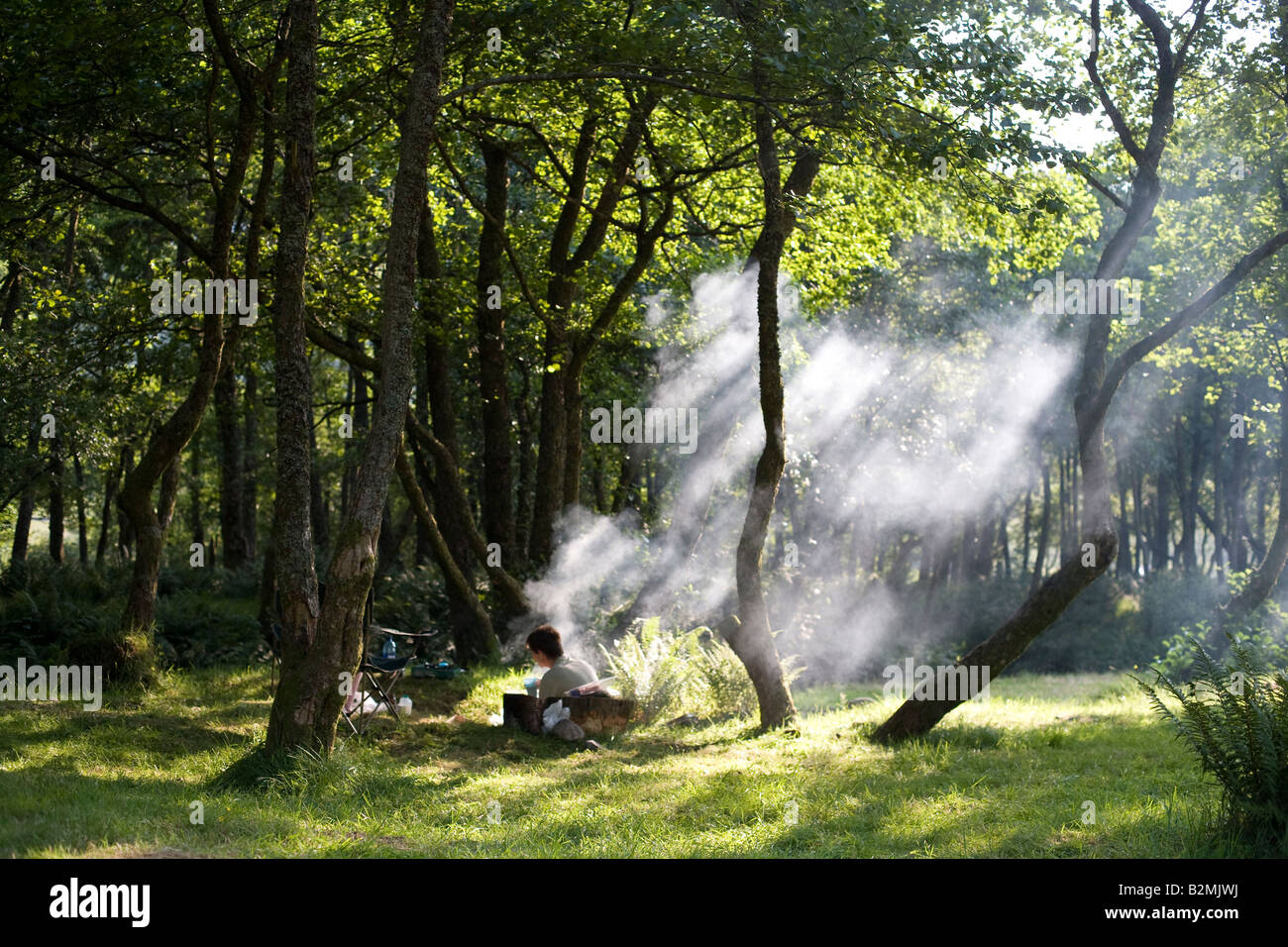 Smoke from a camp fire in woodland near Glen Coe Scotish Highlands ...