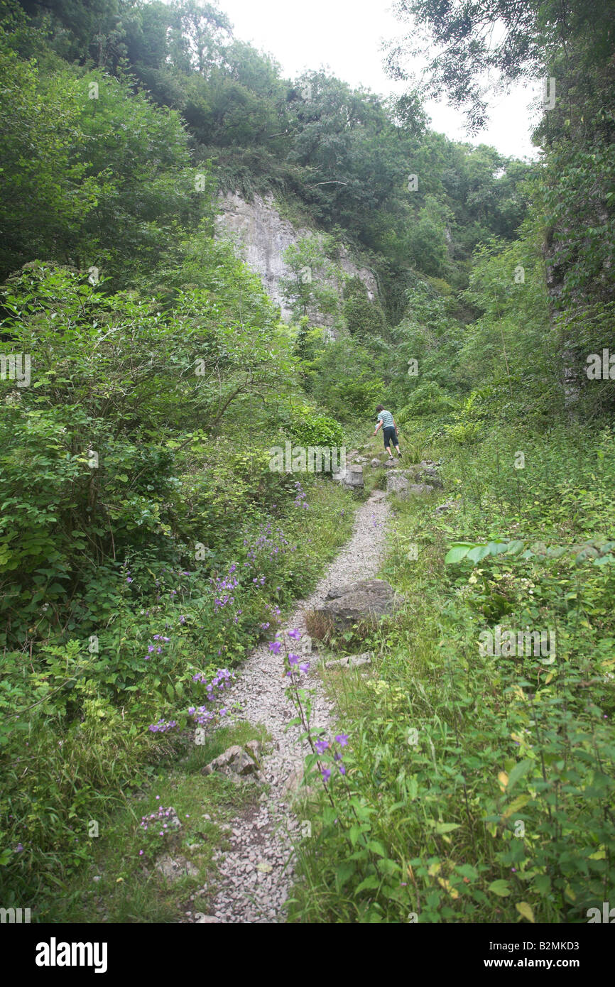 Ebbor Gorge High Resolution Stock Photography and Images - Alamy