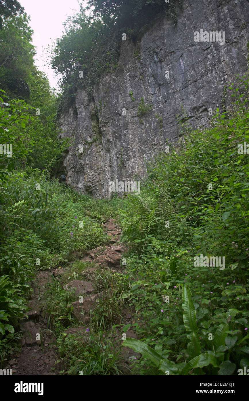 Ebbor Gorge High Resolution Stock Photography and Images - Alamy
