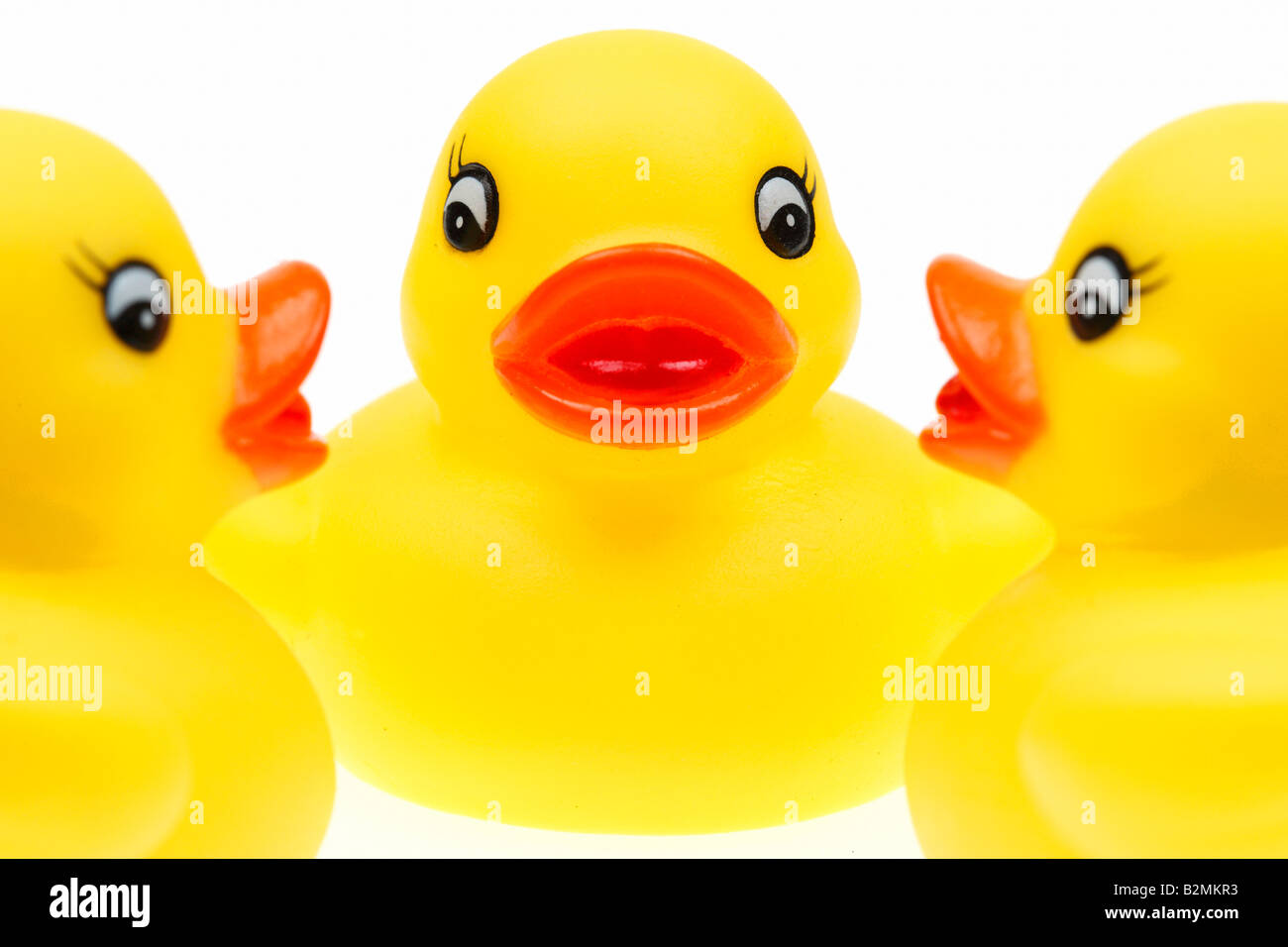 small yellow plastic ducks isolated on a white background Stock Photo ...