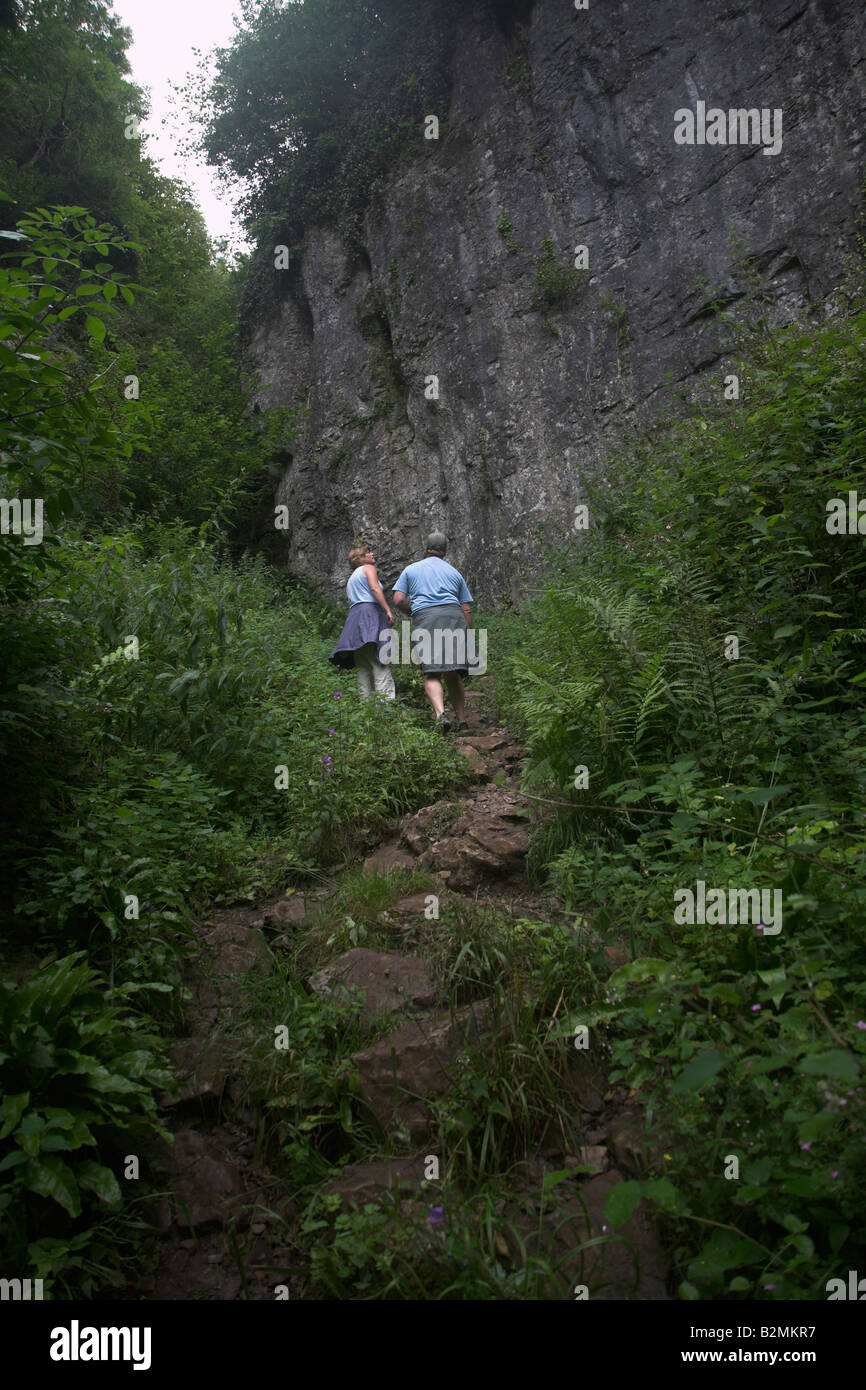 Ebbor gorge hi-res stock photography and images - Alamy