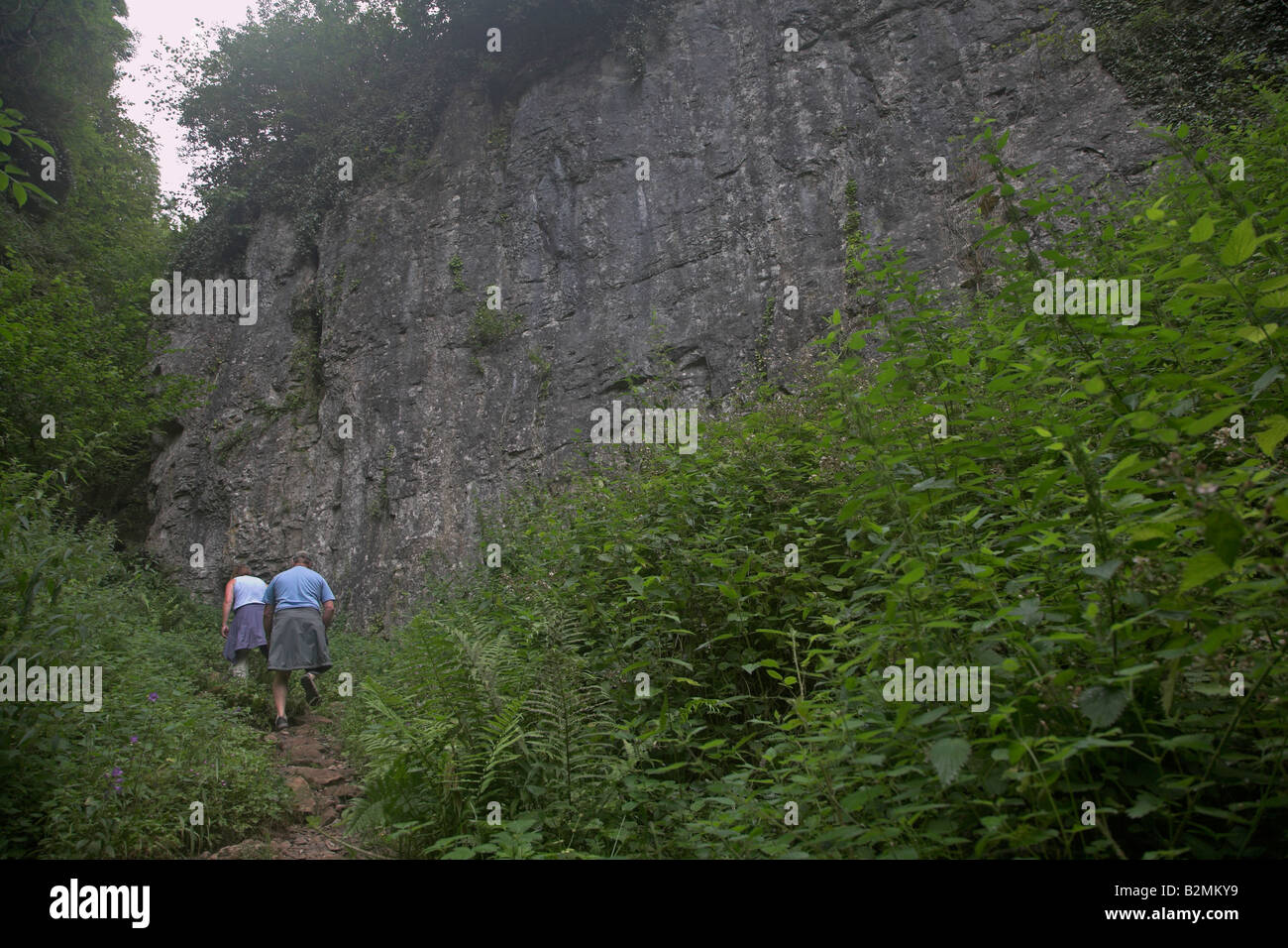 Ebbor gorge, Mendip Hills, Somerset, England Stock Photo - Alamy