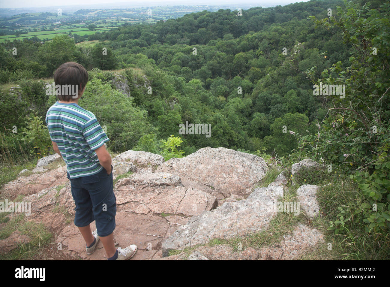 Ebbor Gorge, Mendip Hills, Somerset, England Stock Photo - Alamy