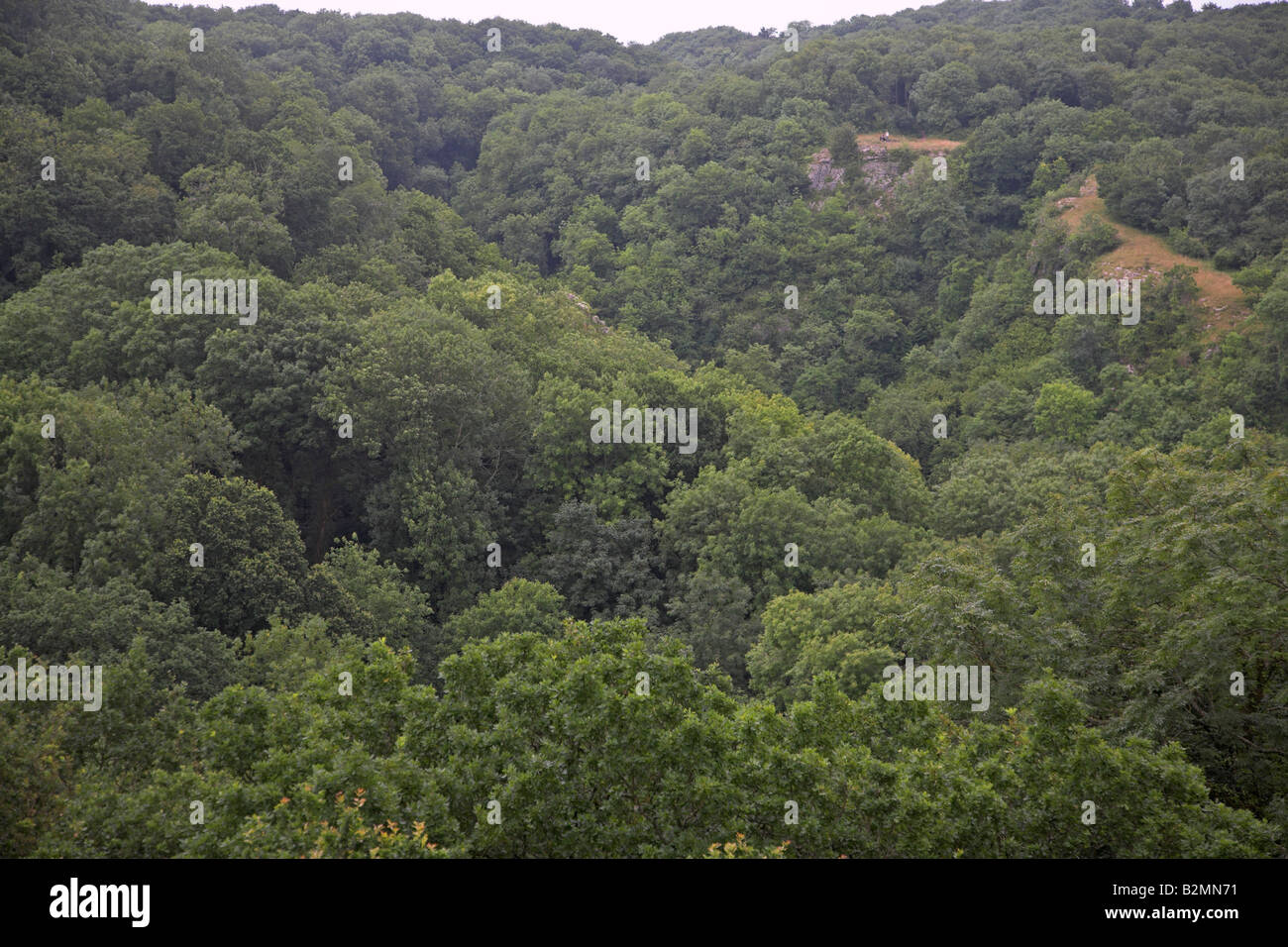 The mendips ebbor hi-res stock photography and images - Alamy