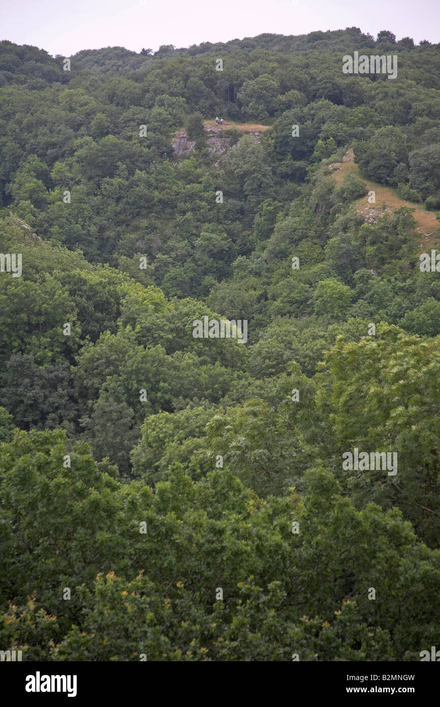The mendips ebbor hi-res stock photography and images - Alamy