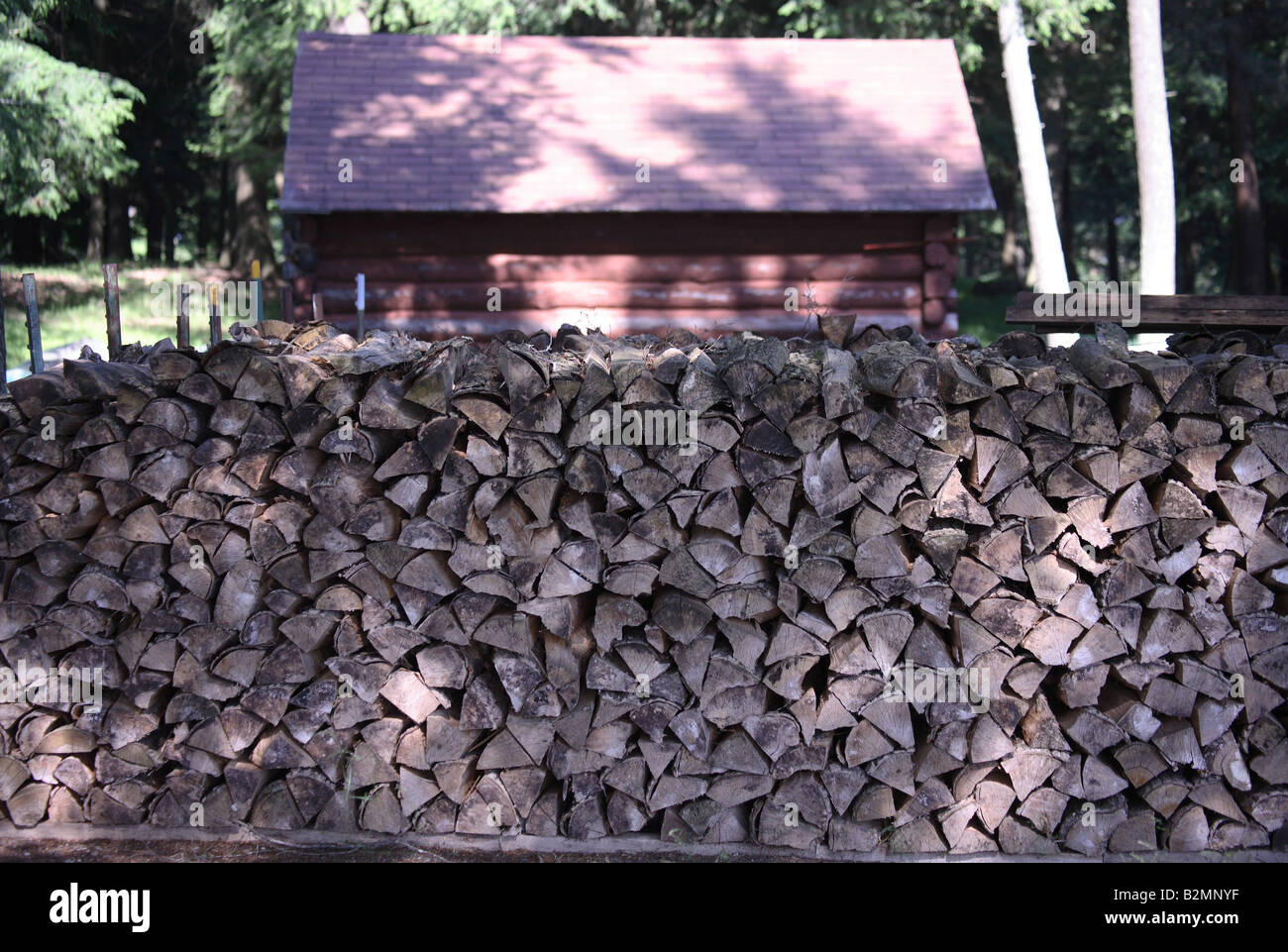 Firewood stacked for winter in the remote Northwoods of northern ...