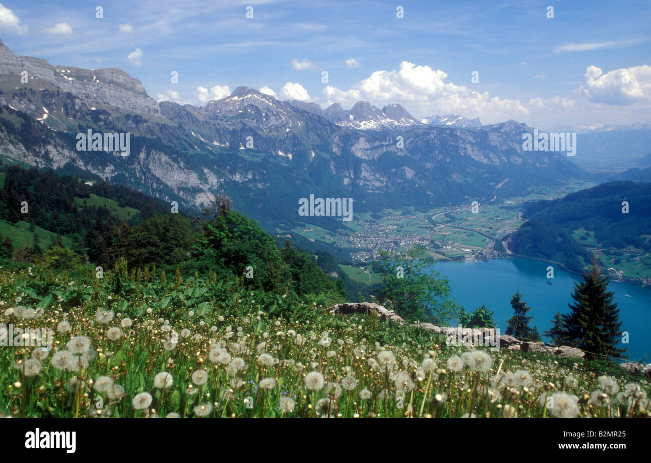Walensee, Churfirsten, Sarganserland, Switzerland Stock Photo - Alamy
