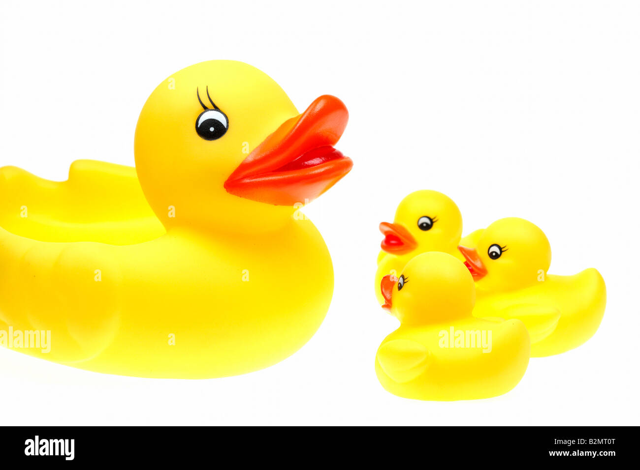 small yellow plastic ducks isolated on a white background Stock Photo ...