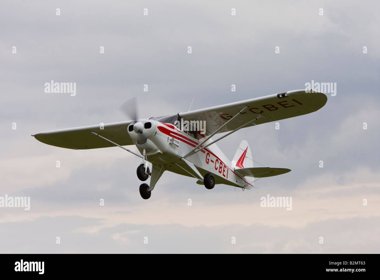 Piper colt hi-res stock photography and images - Alamy