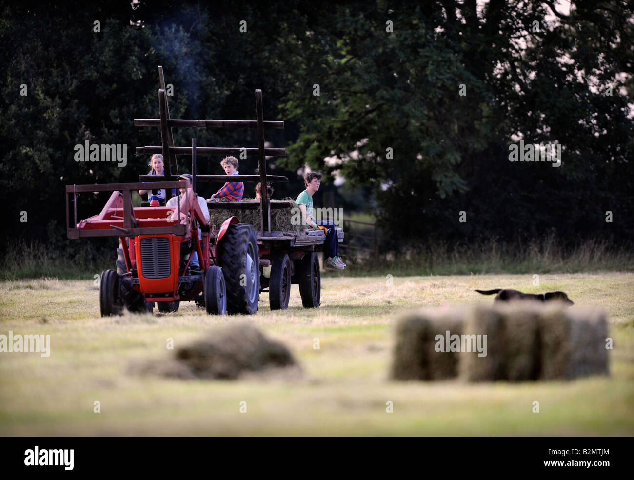 A FARMING FAMILY COLLECTING HAY IN THE TRADITIONAL STYLE IN ...