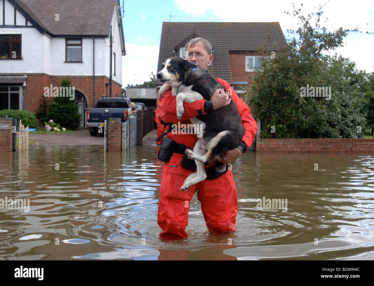 AN RSPCA FLOOD RESCUE OFFICER CARRIES A PET DOG ACROSS A FLOODED STREET ...