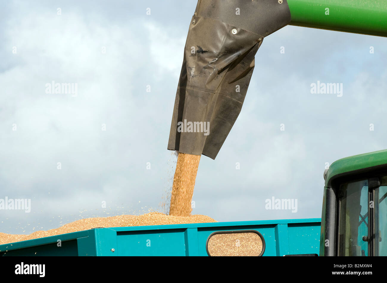 Delivering wheat hi-res stock photography and images - Alamy