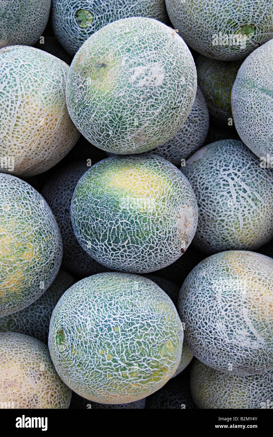 A hip of raw muskmelons at Market Yard, Pune, India Stock Photo - Alamy
