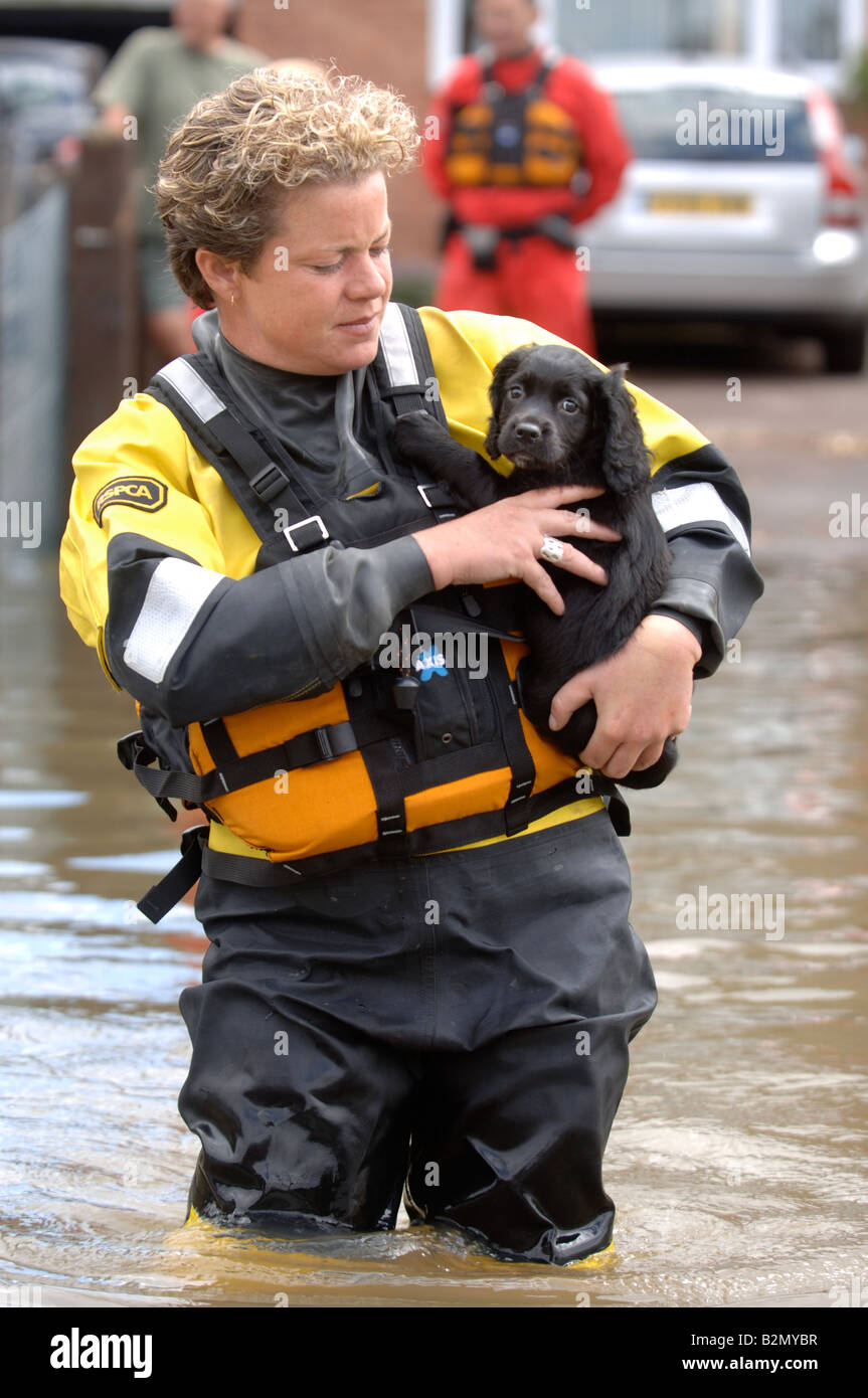 AN RSPCA FLOOD RESCUE OFFICER CARRIES A PET DOG ACROSS A FLOODED STREET ...