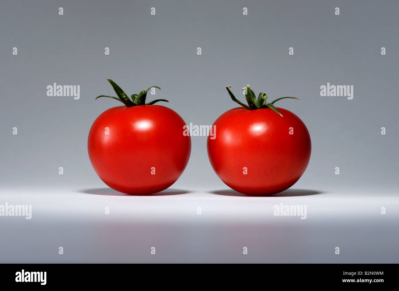 2 red tomatoes hi-res stock photography and images - Alamy